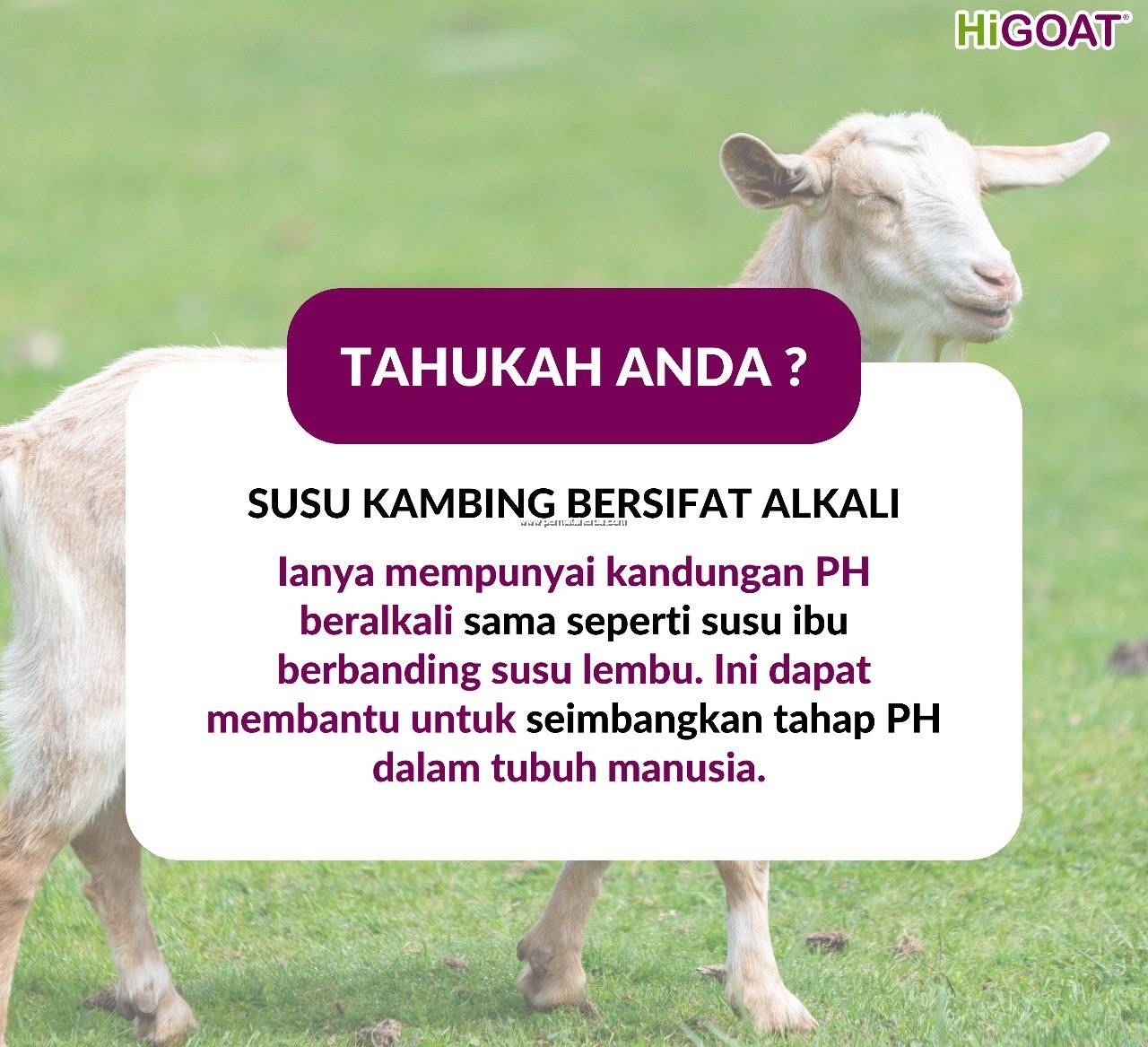 HiGOAT Susu Kambing Original | 15 Sachets