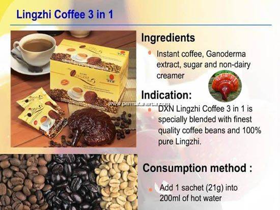 Kopi Lingzhi dxn 3 in 1