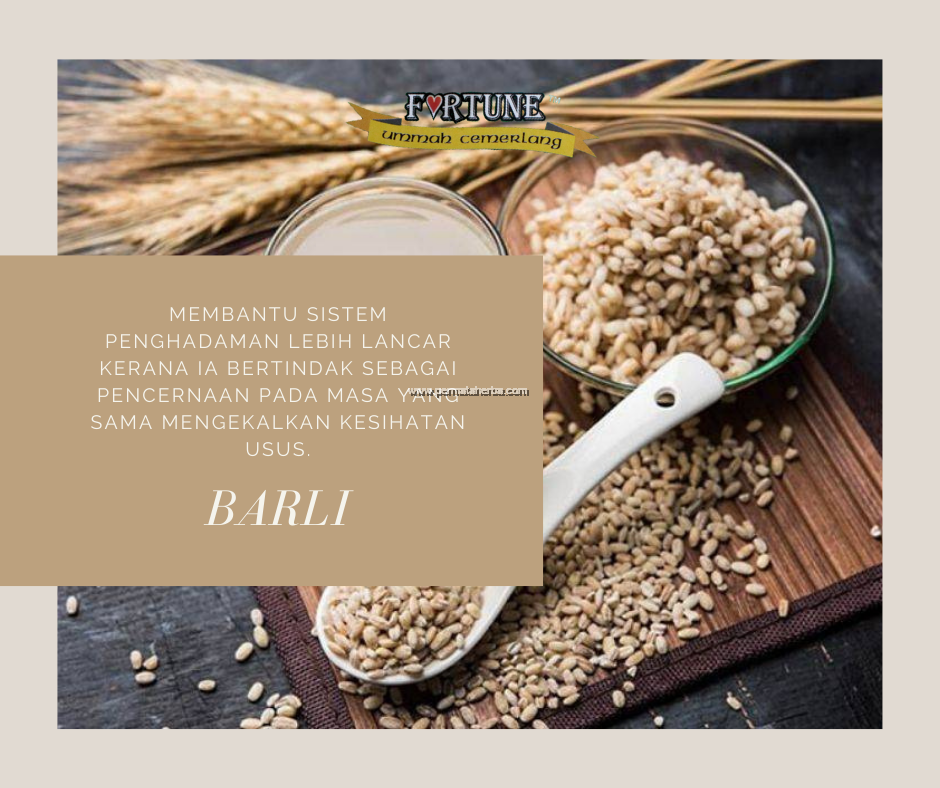 Fortune Kopi Barli Munawwarah A+ | 15 Sachets